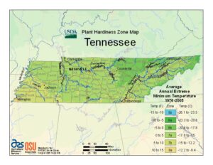 Tennessee USDA Plant Hardiness Zone Map - Ray Garden Day