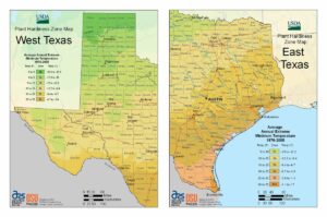 Texas USDA Plant Hardiness Zone Map - Ray Garden Day