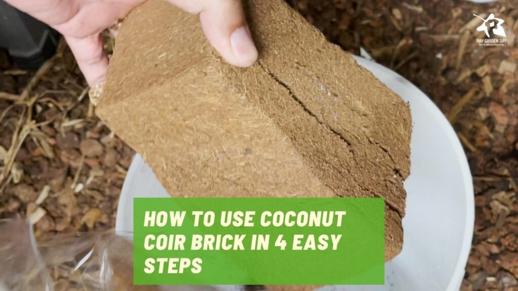 How to use coconut coir brick in 4 easy steps - Ray Garden Day